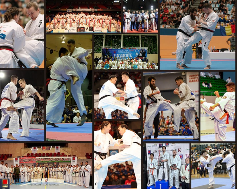 WFKO - World Fullcontact Karate Organization